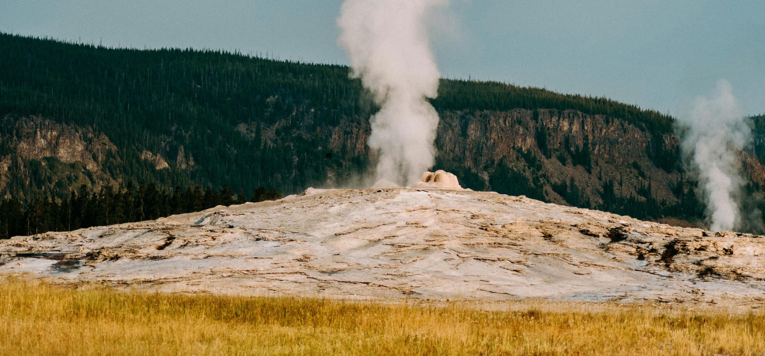 Project Yellowstone - Travertine